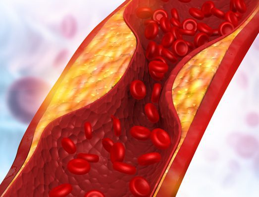 Cardiovascular Diagnosis & Heart Health Treatment Specialist Camden ...